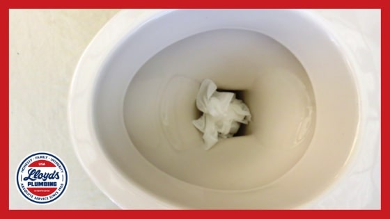 Why Your Toilet is Backing Up | Lloyd’s Plumbing